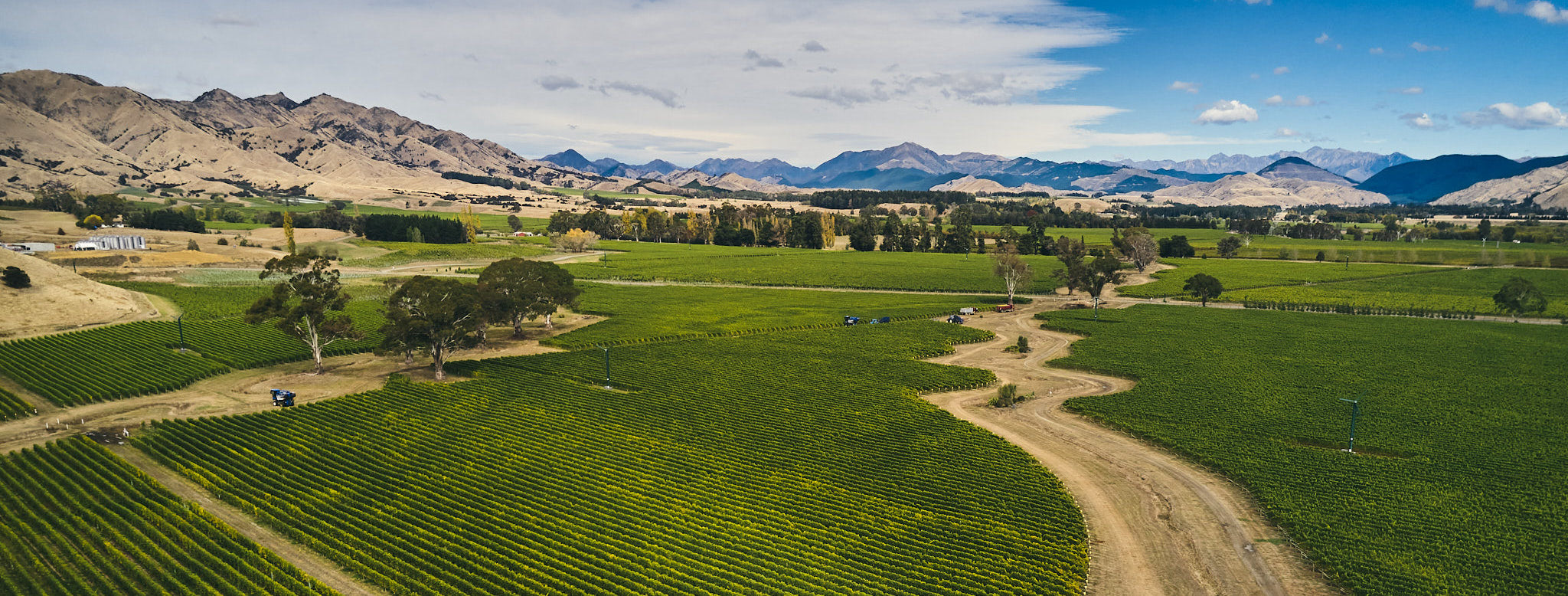 The King Series Wine | Premium Marlborough NZ Wine | Marisco – Marisco ...